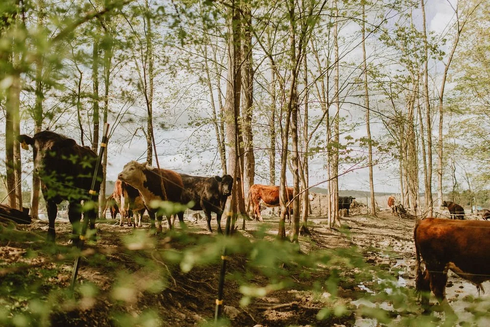 Baldwin Farm