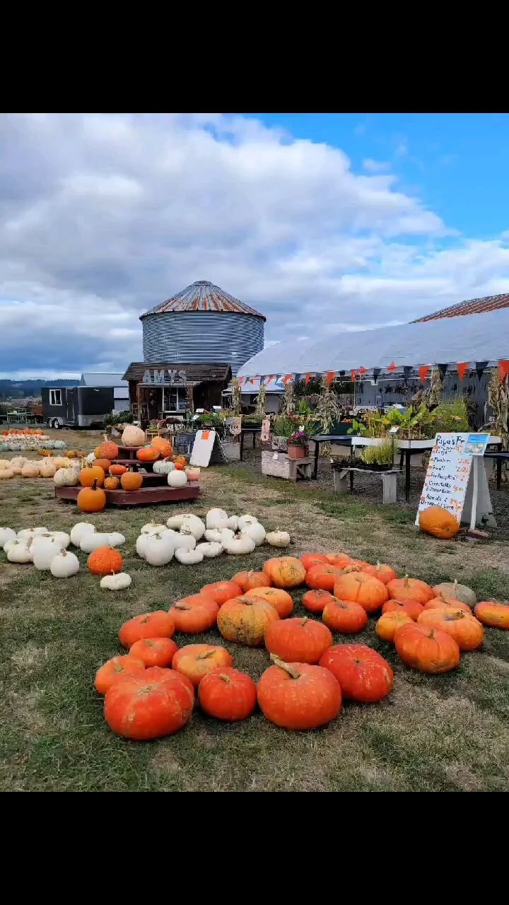 Wachlin Farms | Papa's Pumpkin Patch | Amy's Heirloom Vegetables | The ...