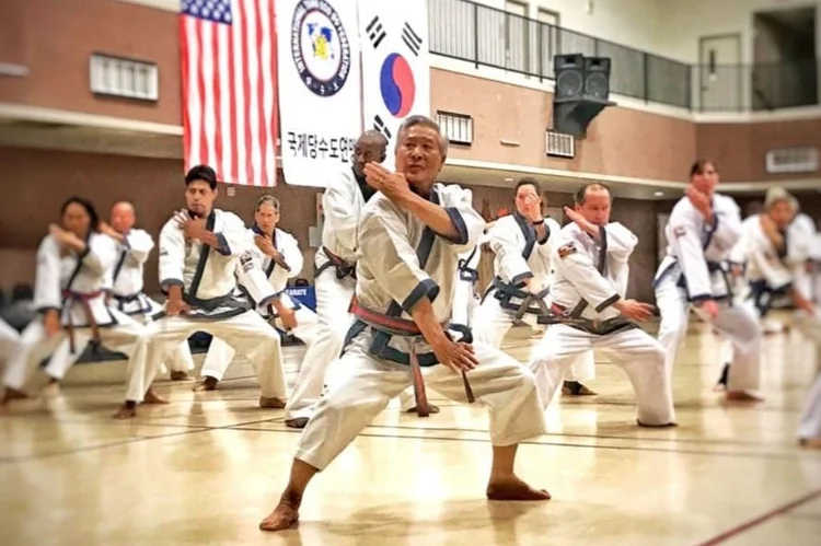 Tang Soo Do — Eagledove Martial Arts