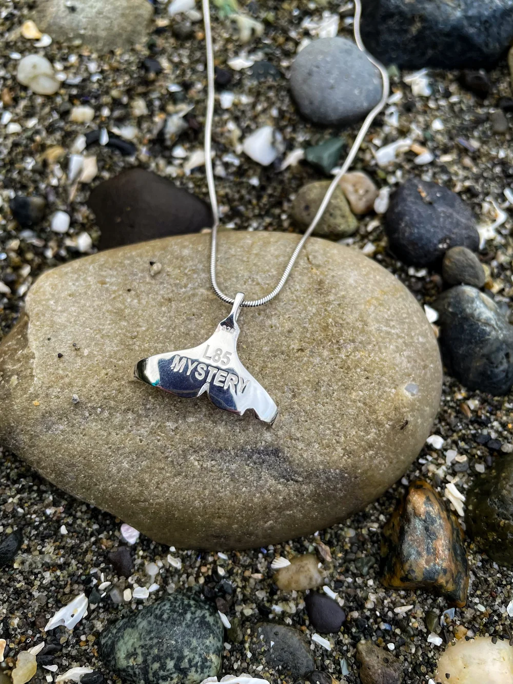 Store 1 — Orca Conservancy