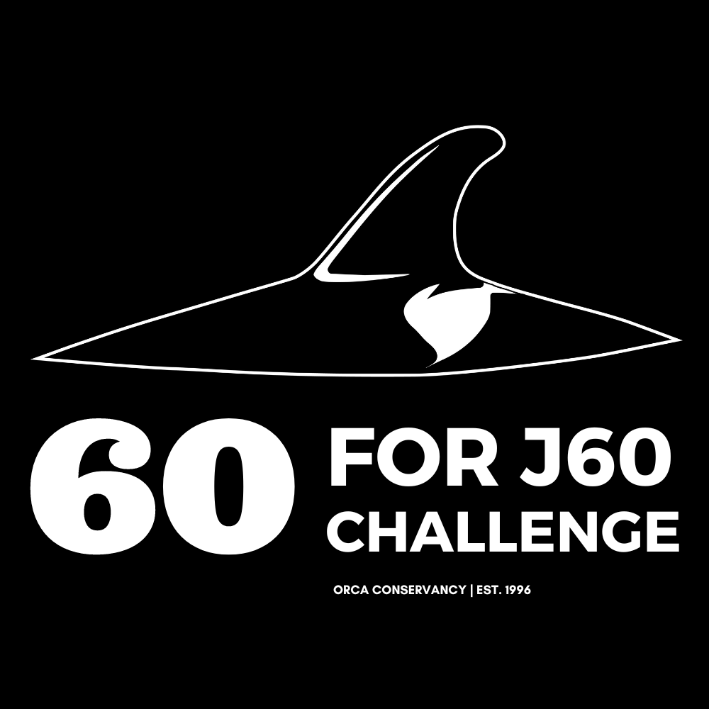 60 For J60 Challenge — Orca Conservancy