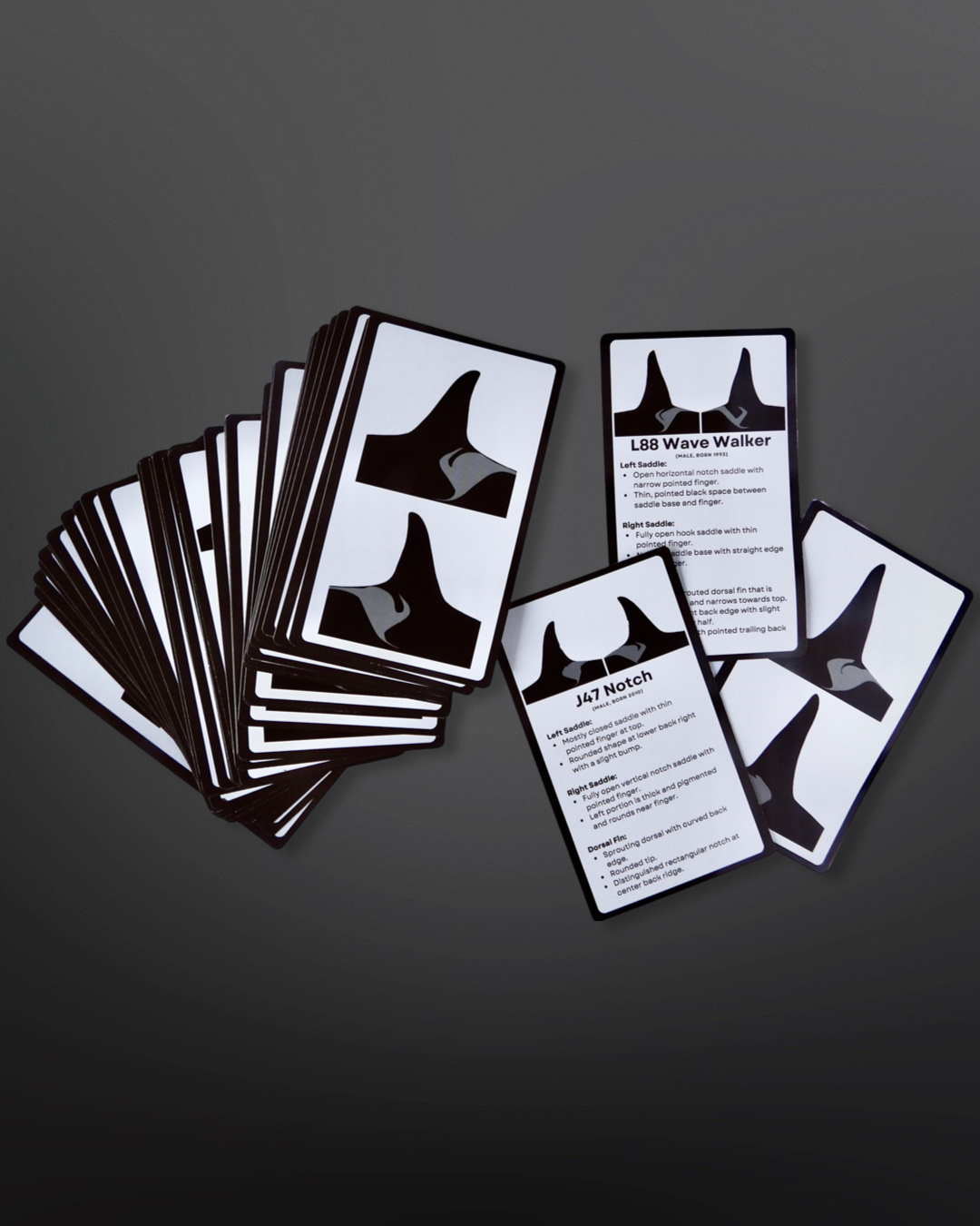 Store 1 — Orca Conservancy