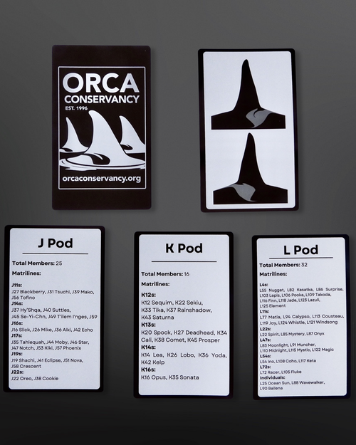 Store 1 — Orca Conservancy