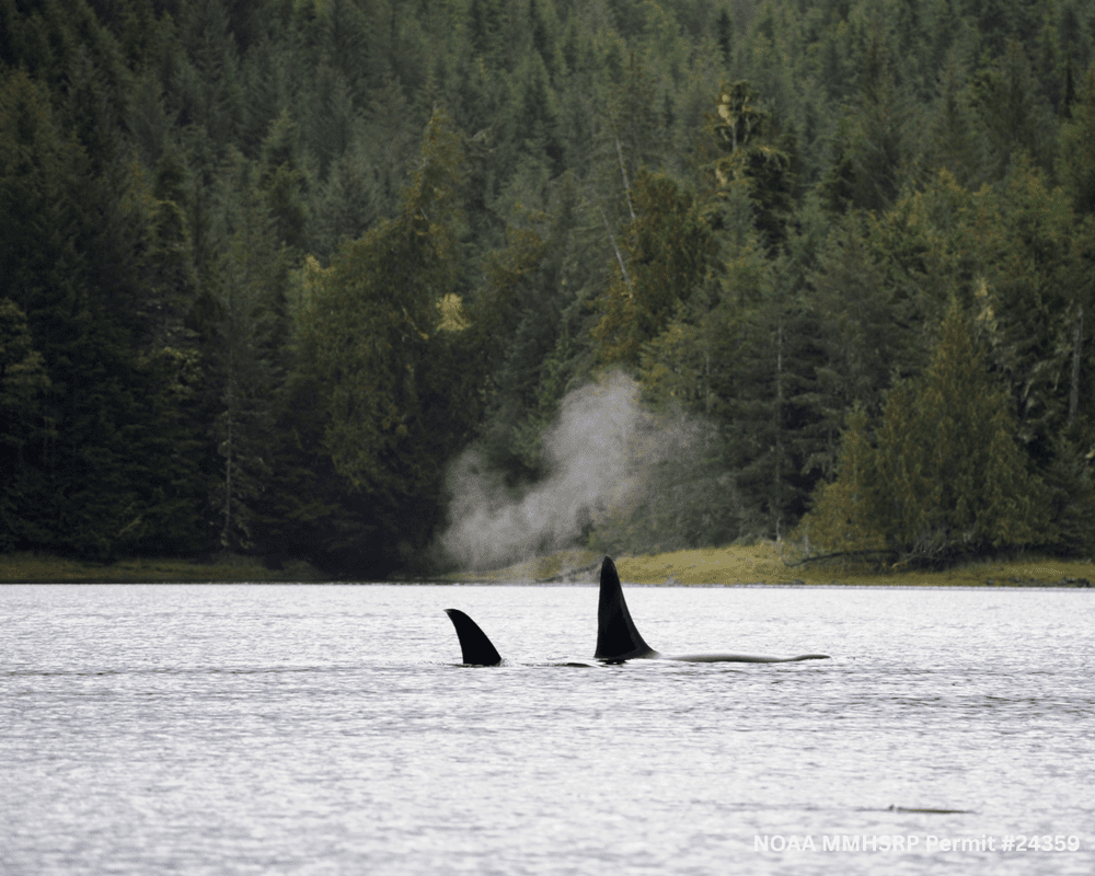 Oil Spill Preparedness and What We Can Learn from Barnes Lake and Other ...