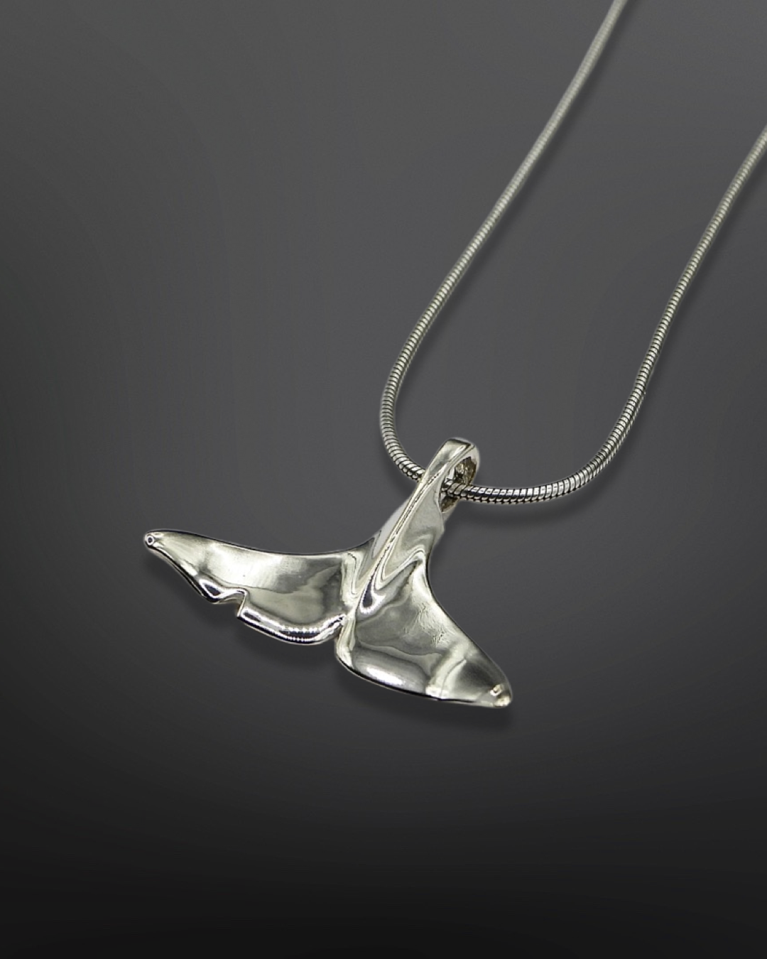 Store 1 — Orca Conservancy