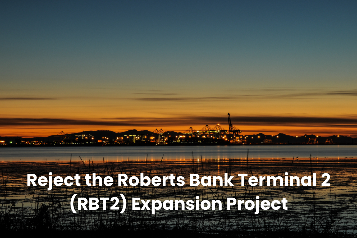 Take Action — Orca Conservancy