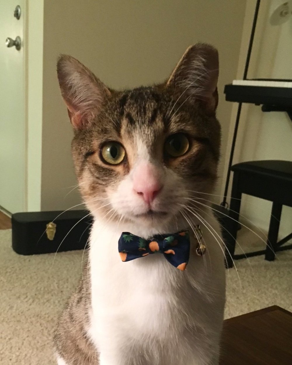 Our Team — Flanigan SALUS Lab