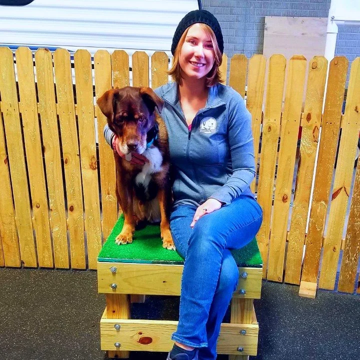 Meet Our Trainers — NE Dog Trainers