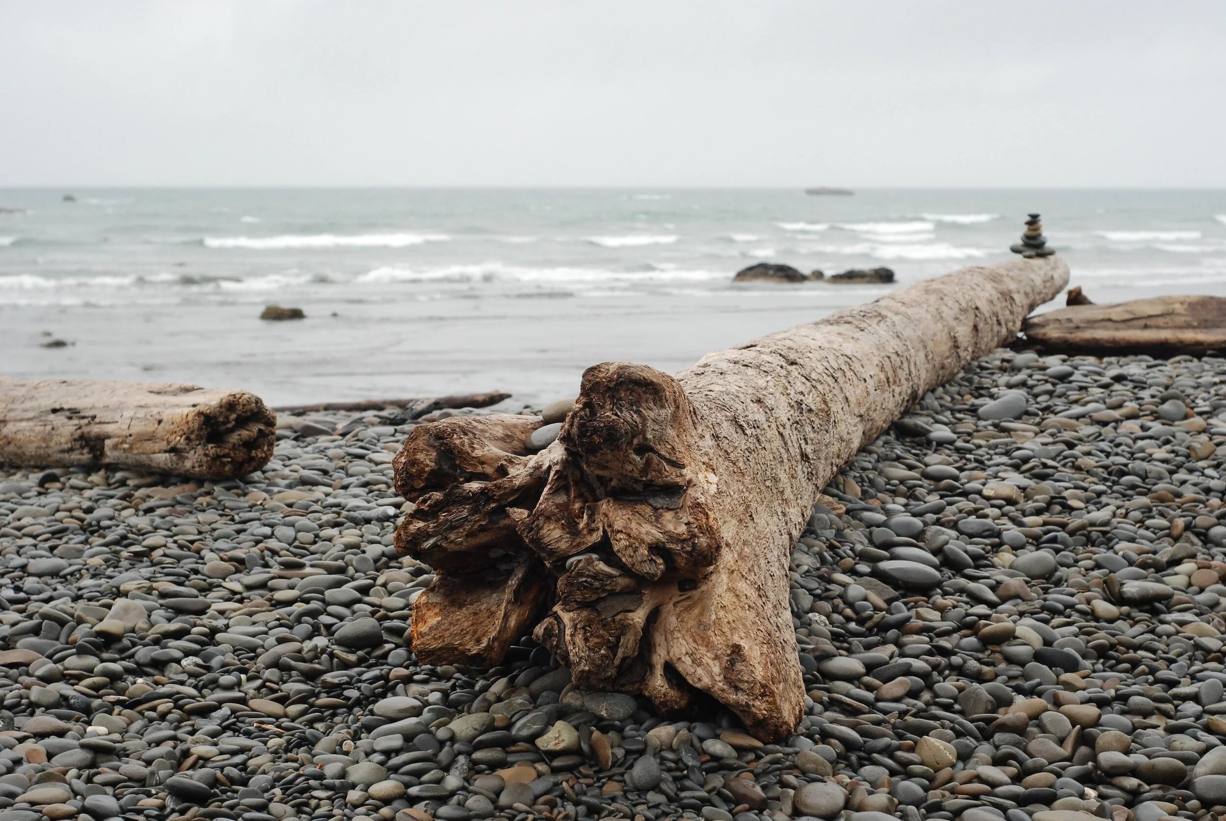 Dr. Cristina Louk - Peace Humanistic Therapy, LLC