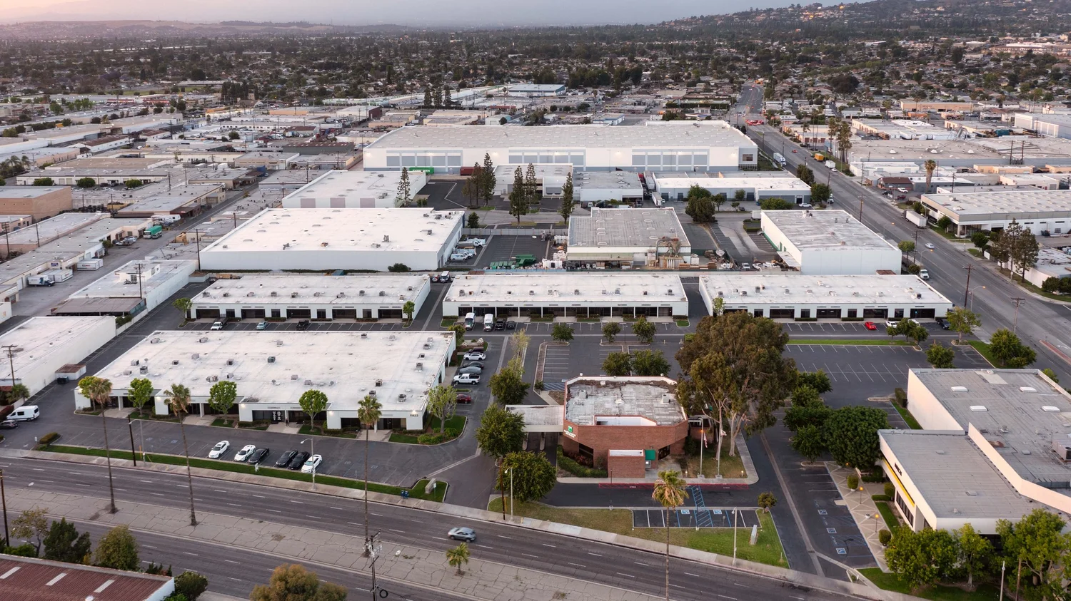 California — bendetti
