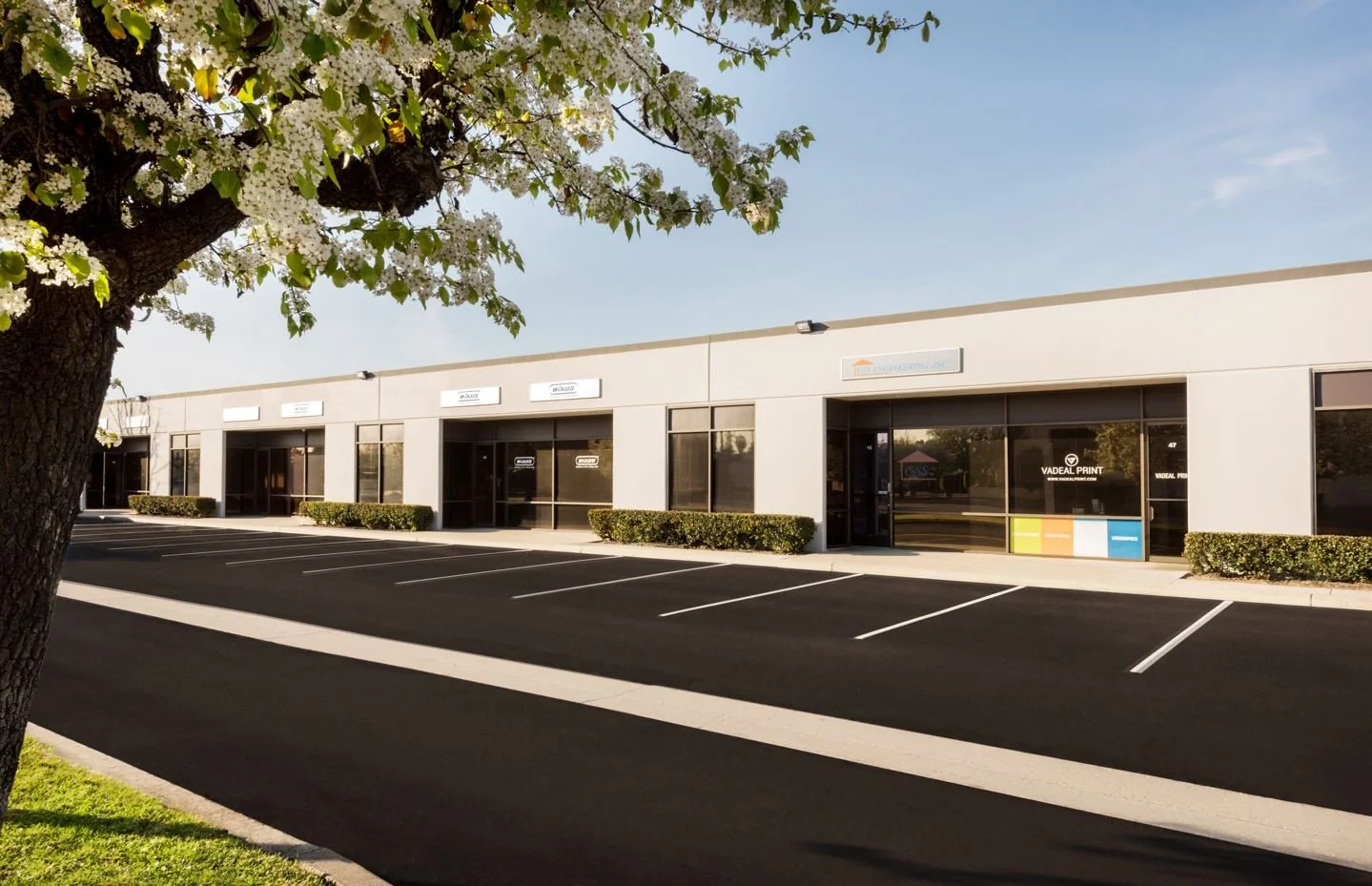 California — bendetti