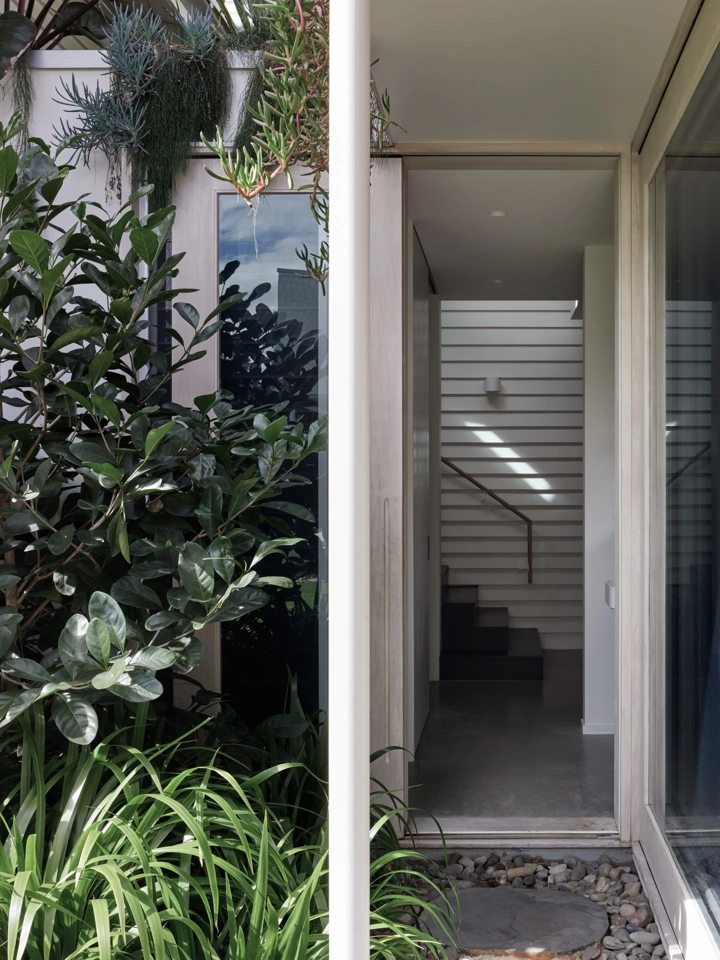 Laurel | Shaun Lockyer Architects