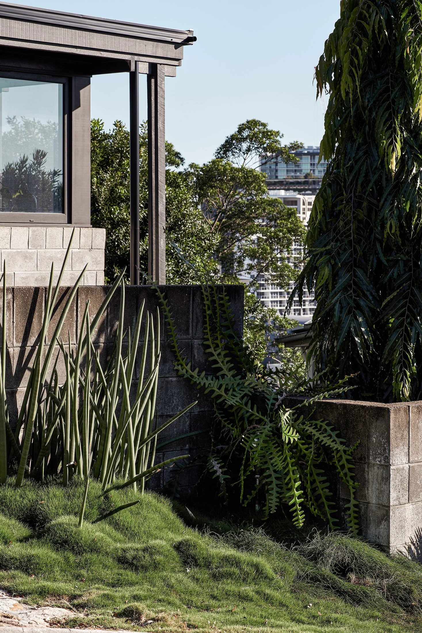 Chambers House | Shaun Lockyer Architects
