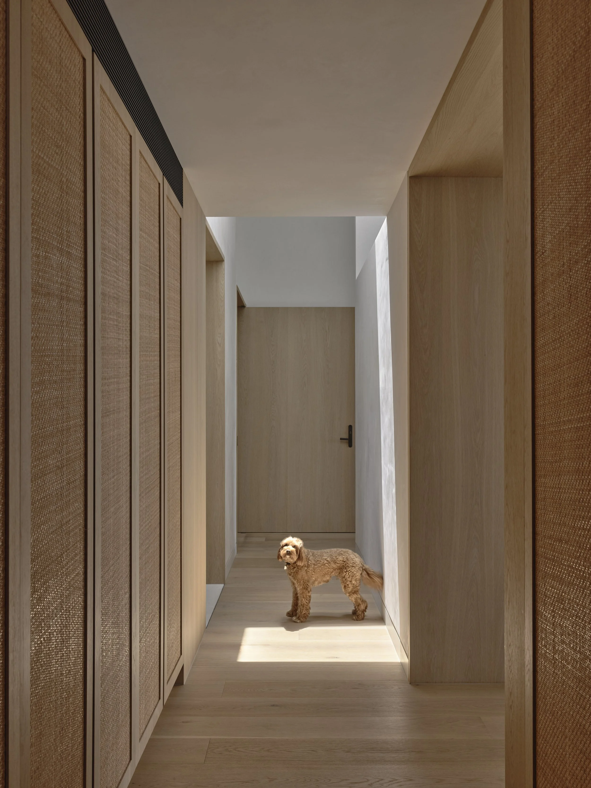 Whale Beach | Shaun Lockyer Architects