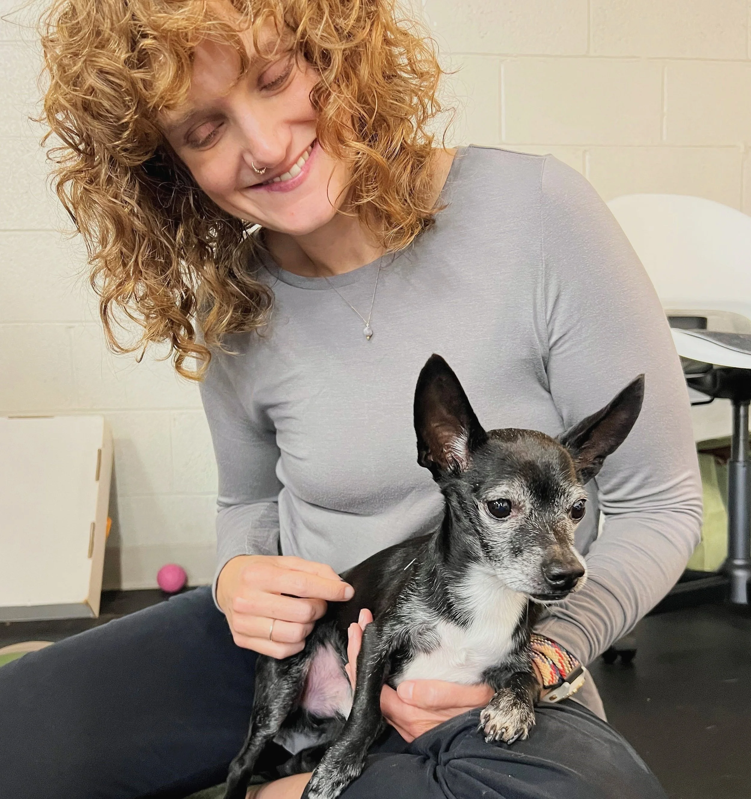 Resurgence Veterinary Mobility - Meet our Rehabilitation and Mobility ...