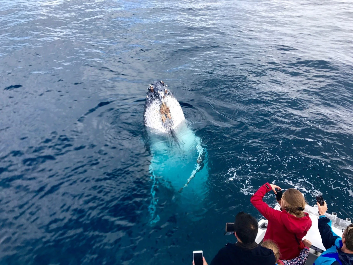 Kalbarri Tours — Reefwalker Ocean Discovery Tours