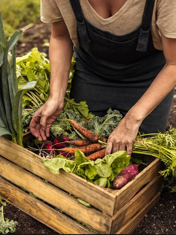 Taste of The Kimberley