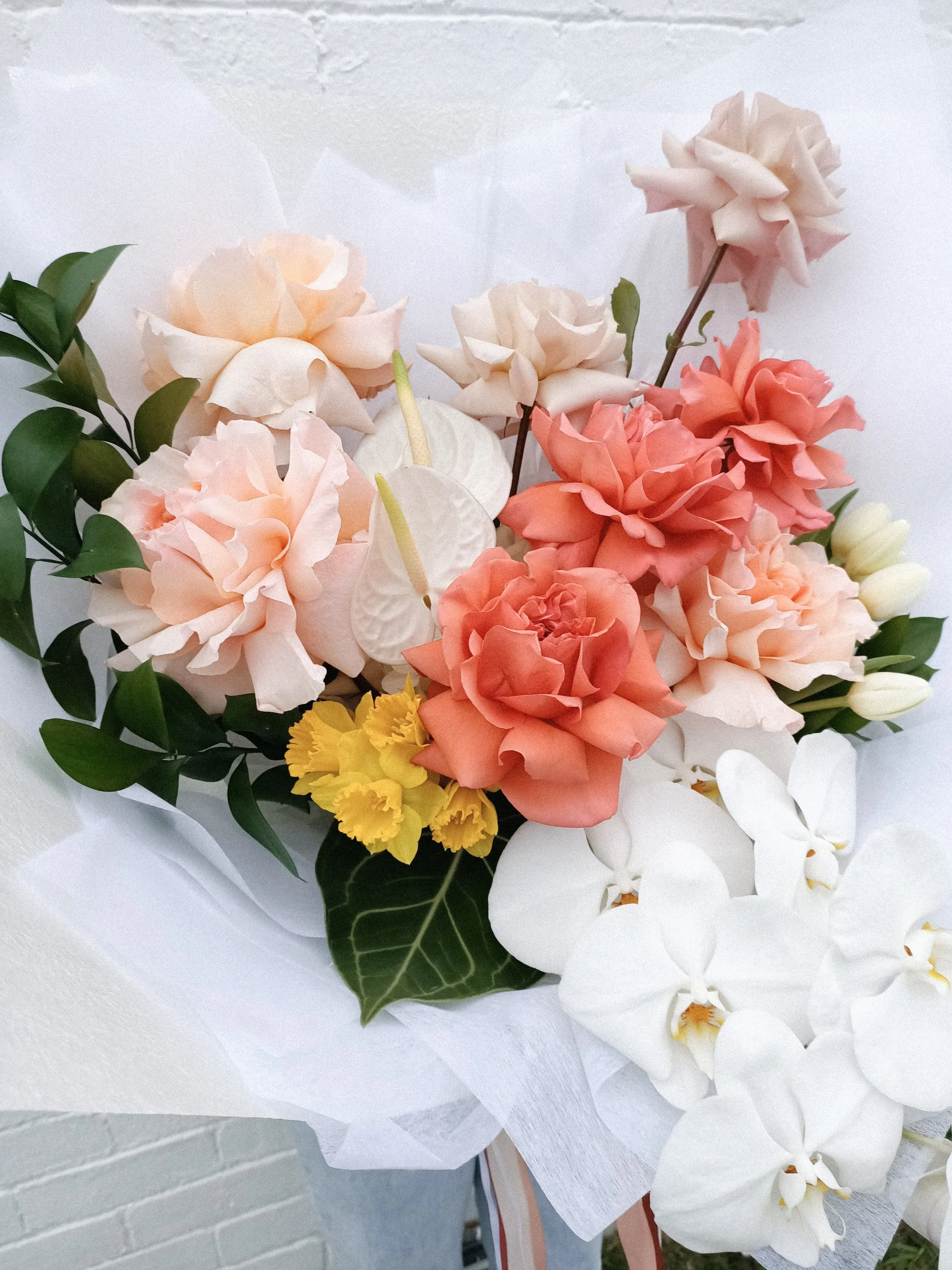 Vida Flora