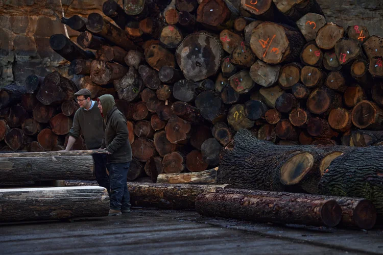 Albion Timber - Timber Merchants in Sheffield