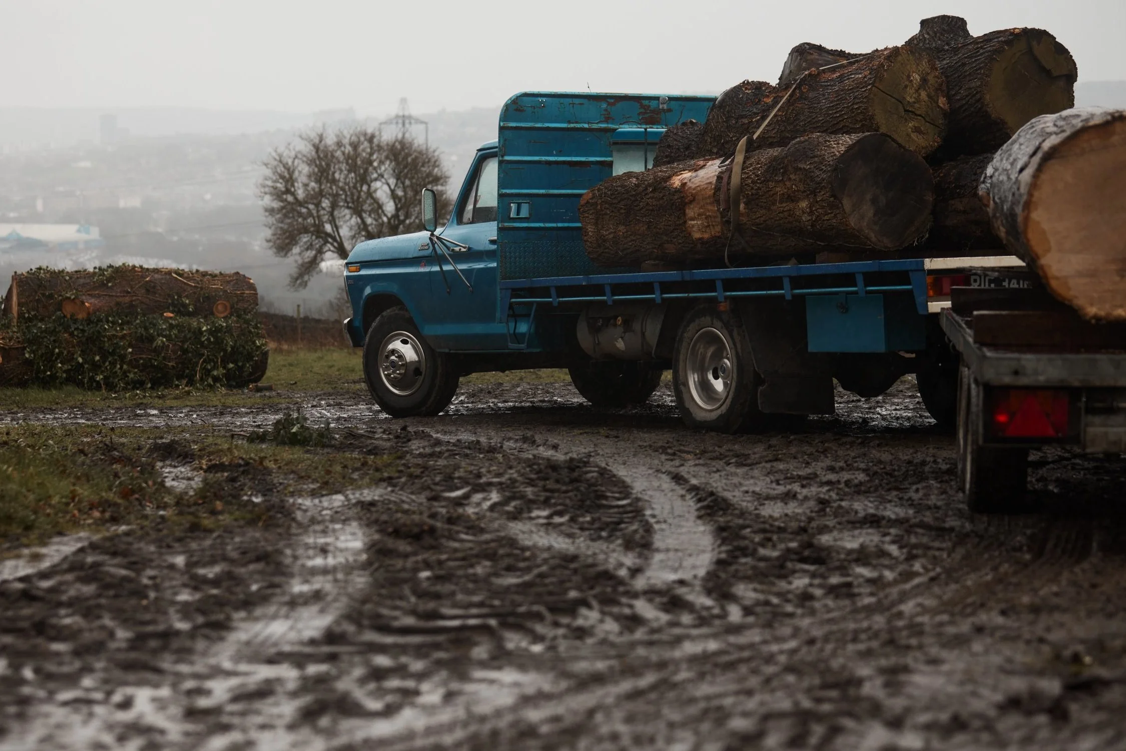 Albion Timber - Timber Merchants in Sheffield
