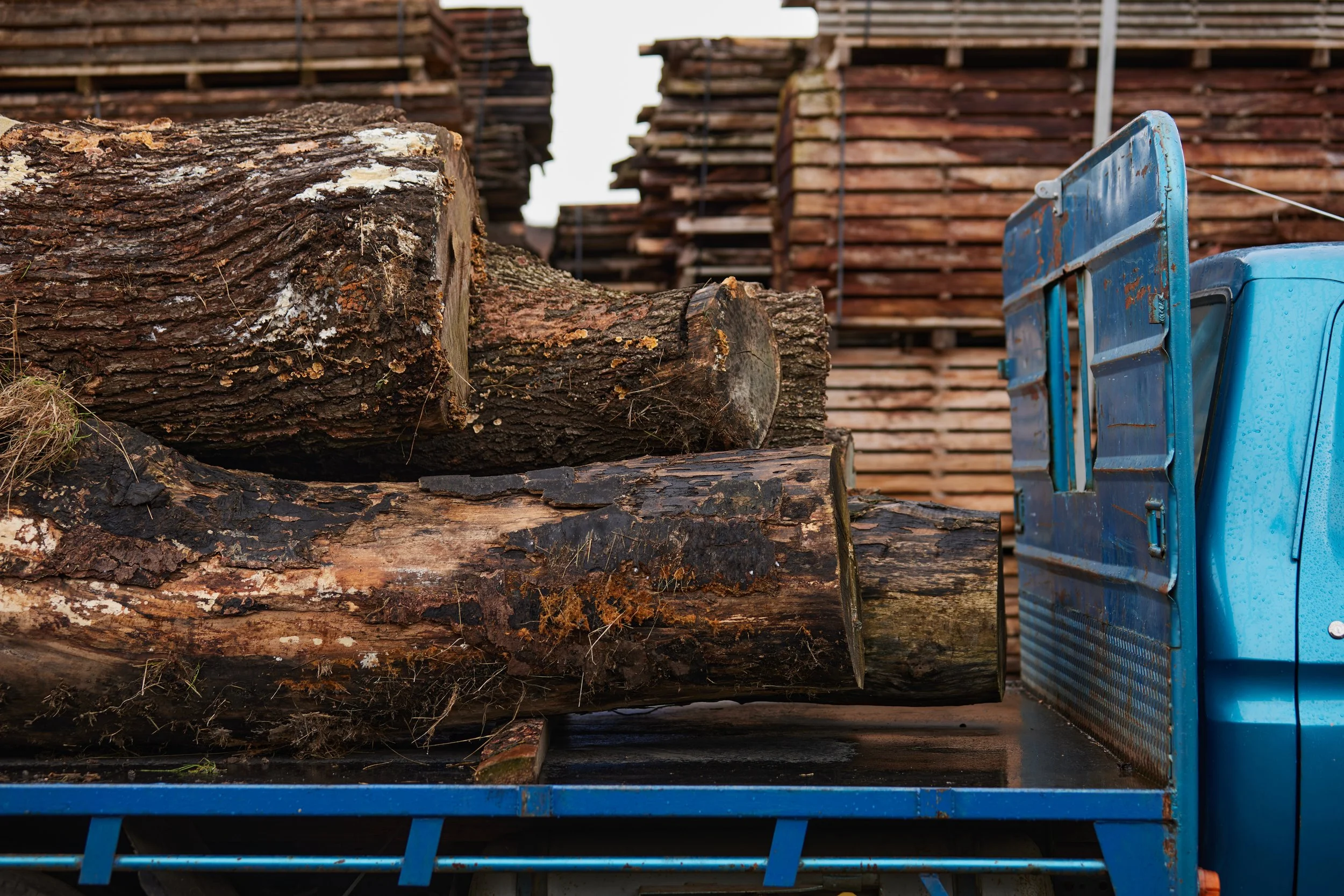Sawn Timber — Albion Timber - Timber Merchants in Sheffield