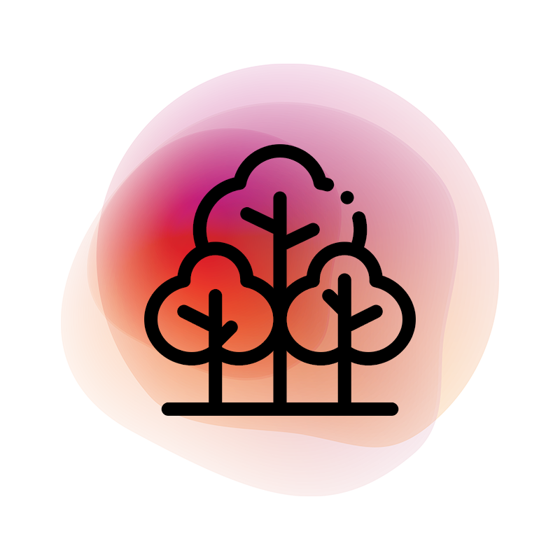 kumo | money backed by nature