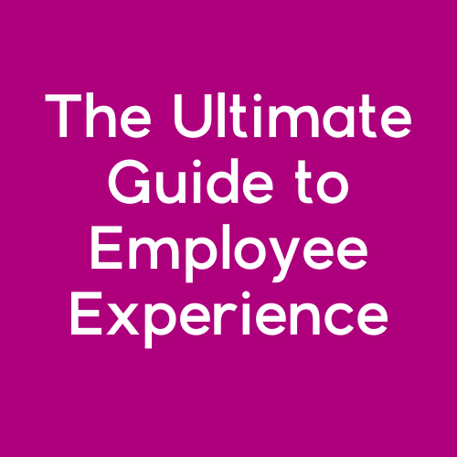 Untangled Process Documentation