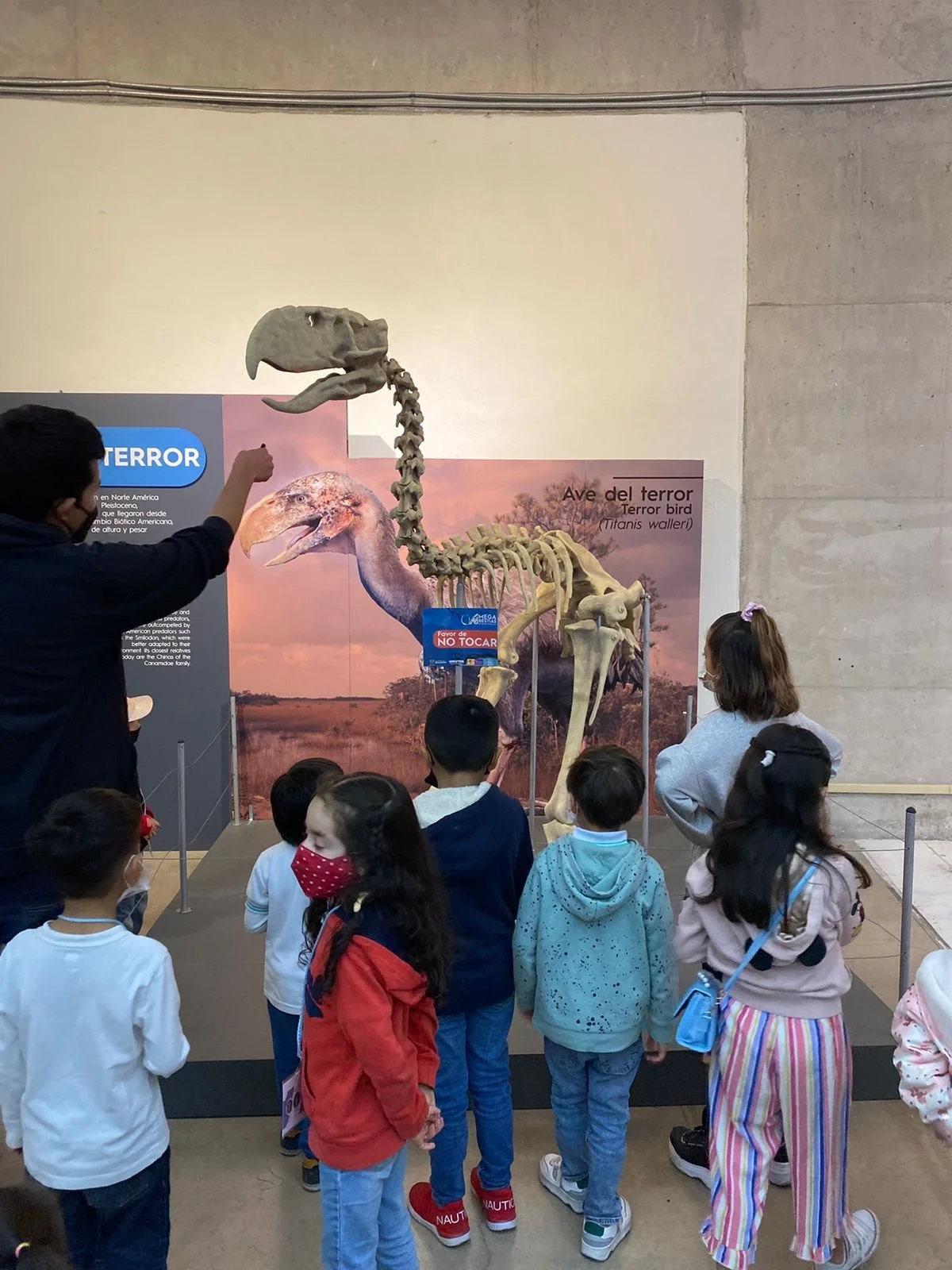 Lemon Tree Preschool