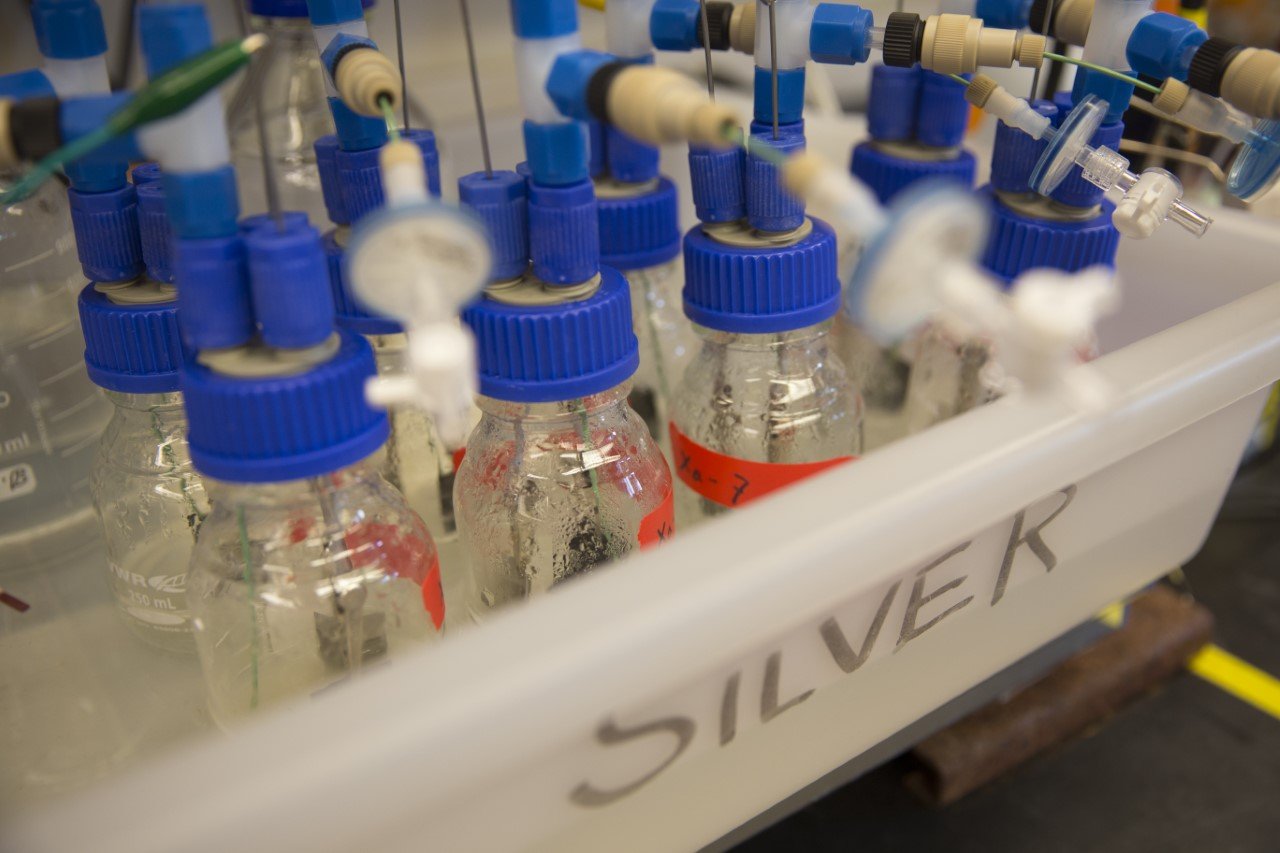 Pam Silver — Systems Biology