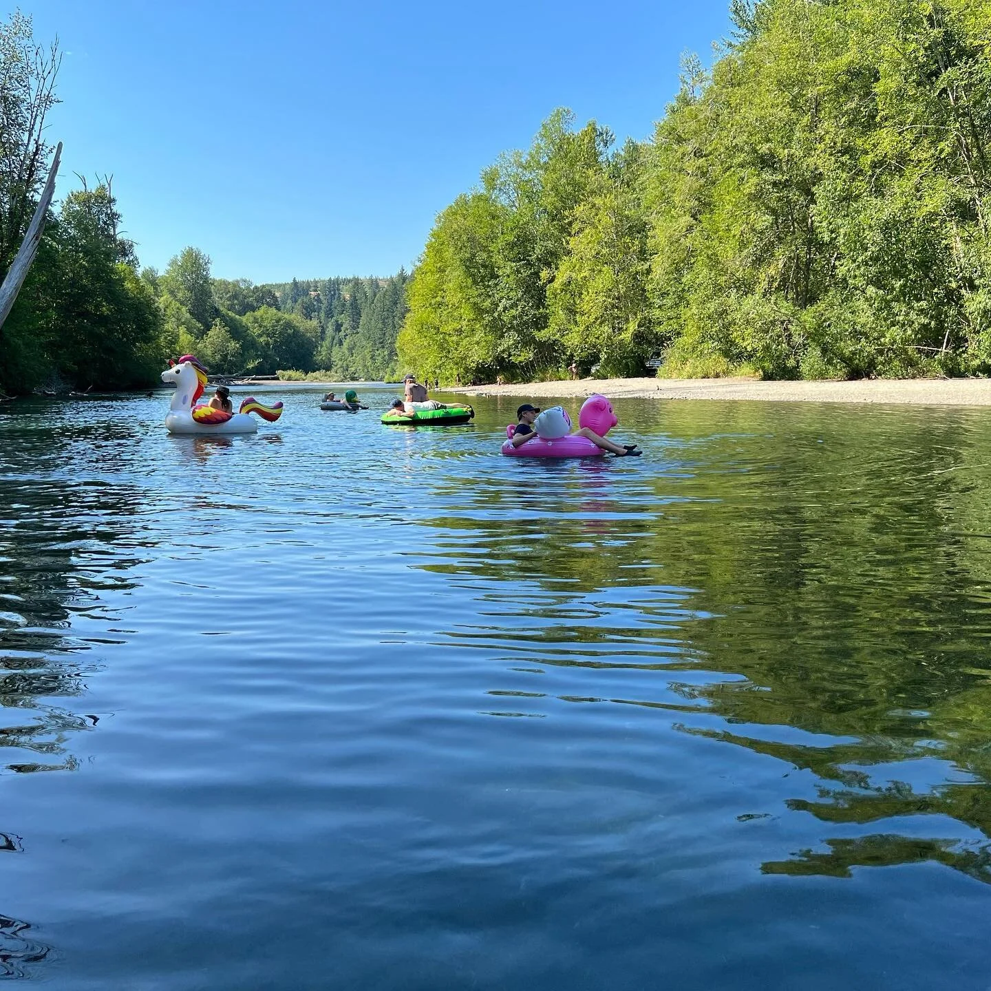 Tracing the Fjord | Hood Canal and South Puget Sound