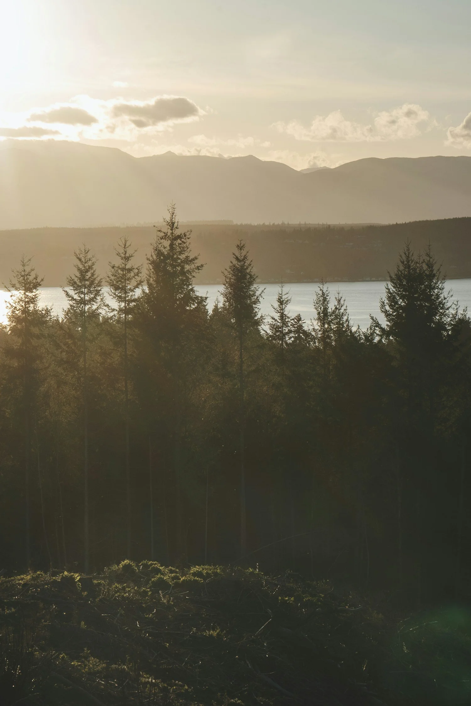 Tracing the Fjord | Hood Canal and South Puget Sound