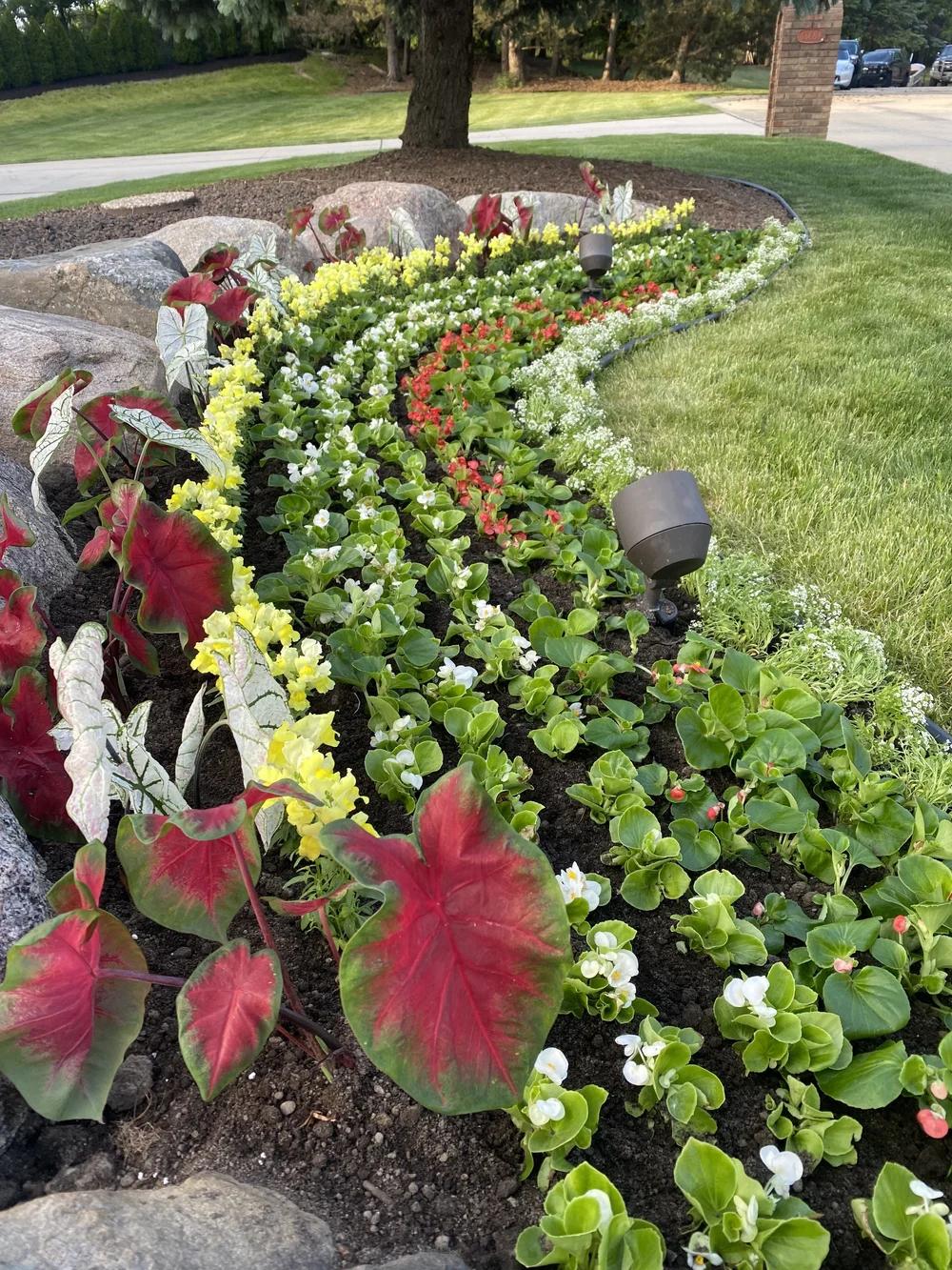 Terrascape Design & Build | Transform Outdoor Spaces Today