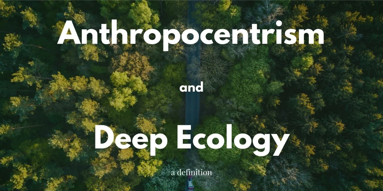 Post 1 — Ripple Lit