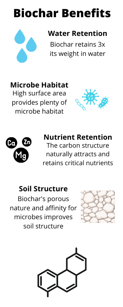 An Introduction to Biochar