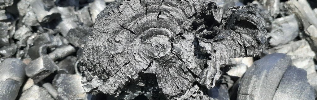 An Introduction to Biochar