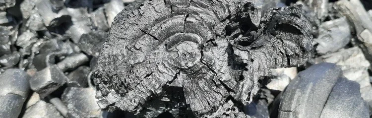 An Introduction to Biochar