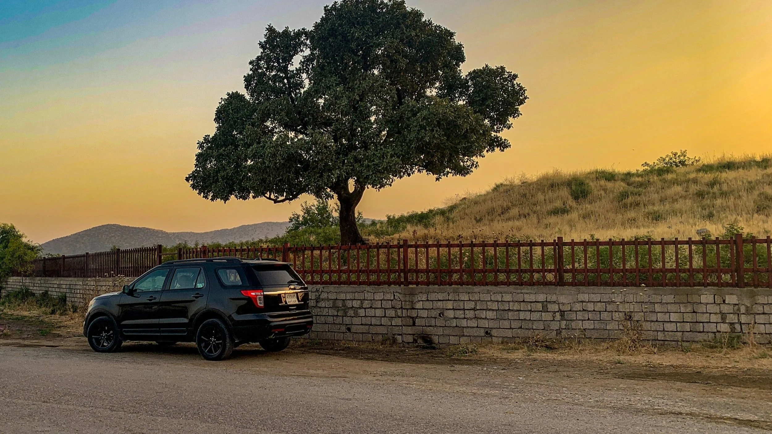 Talon Protection Agency