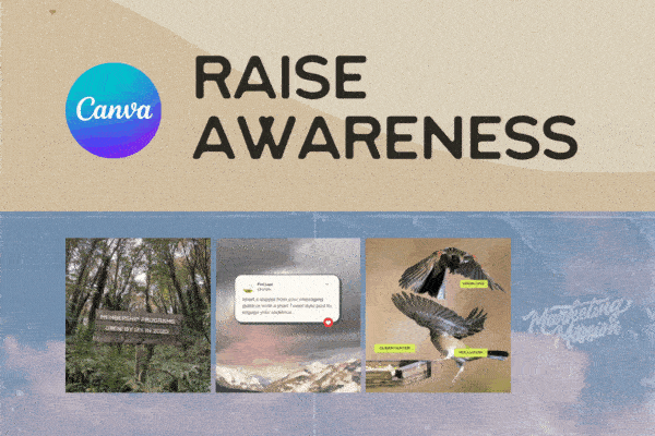 Black Friday Bundle Delivery — Raise More Together