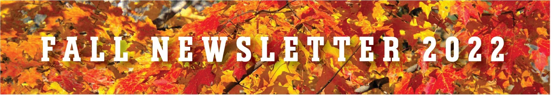 Fall Newsletter 2022 — Catholic Guardian Services
