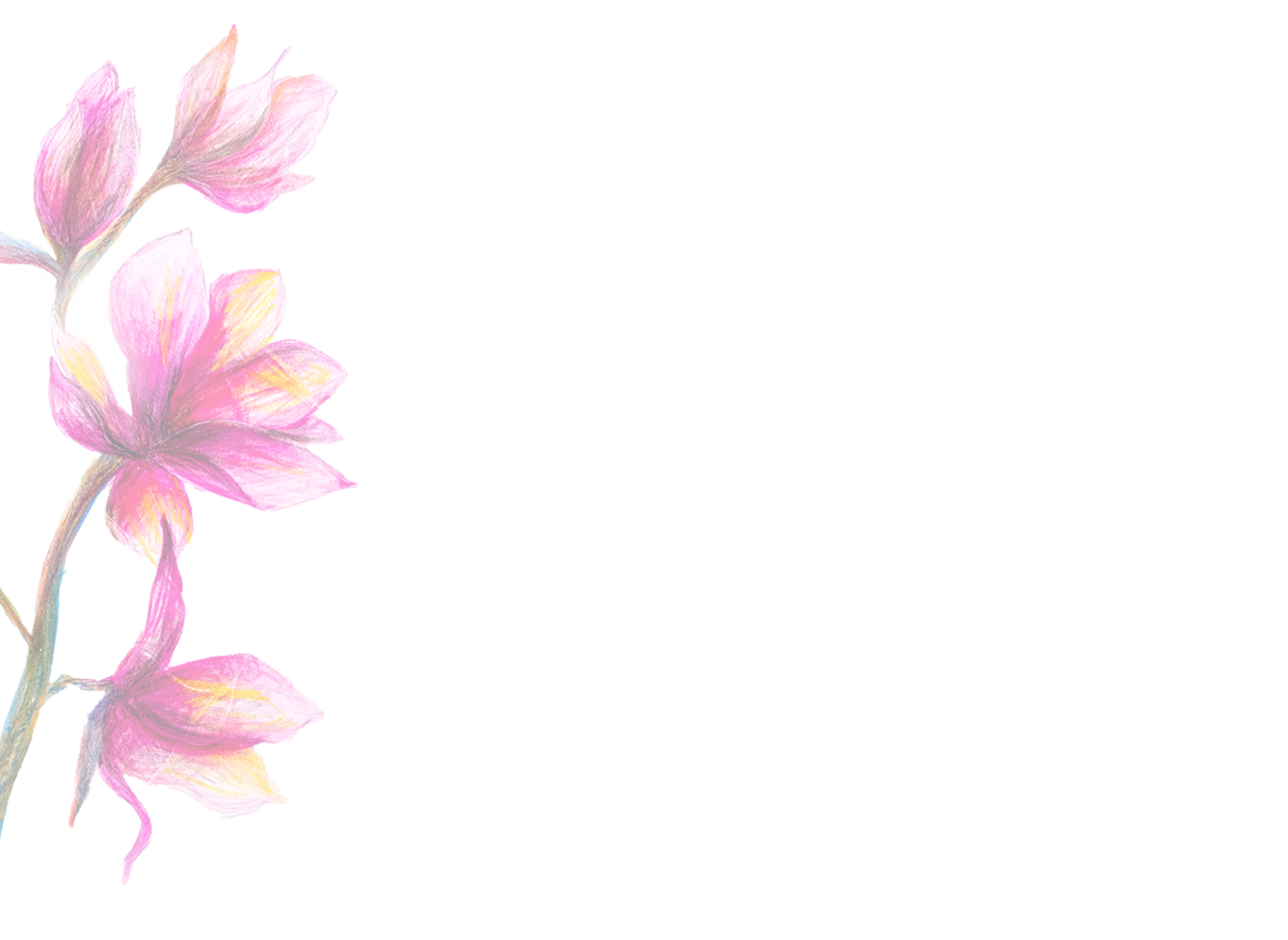 Trinity Imaging