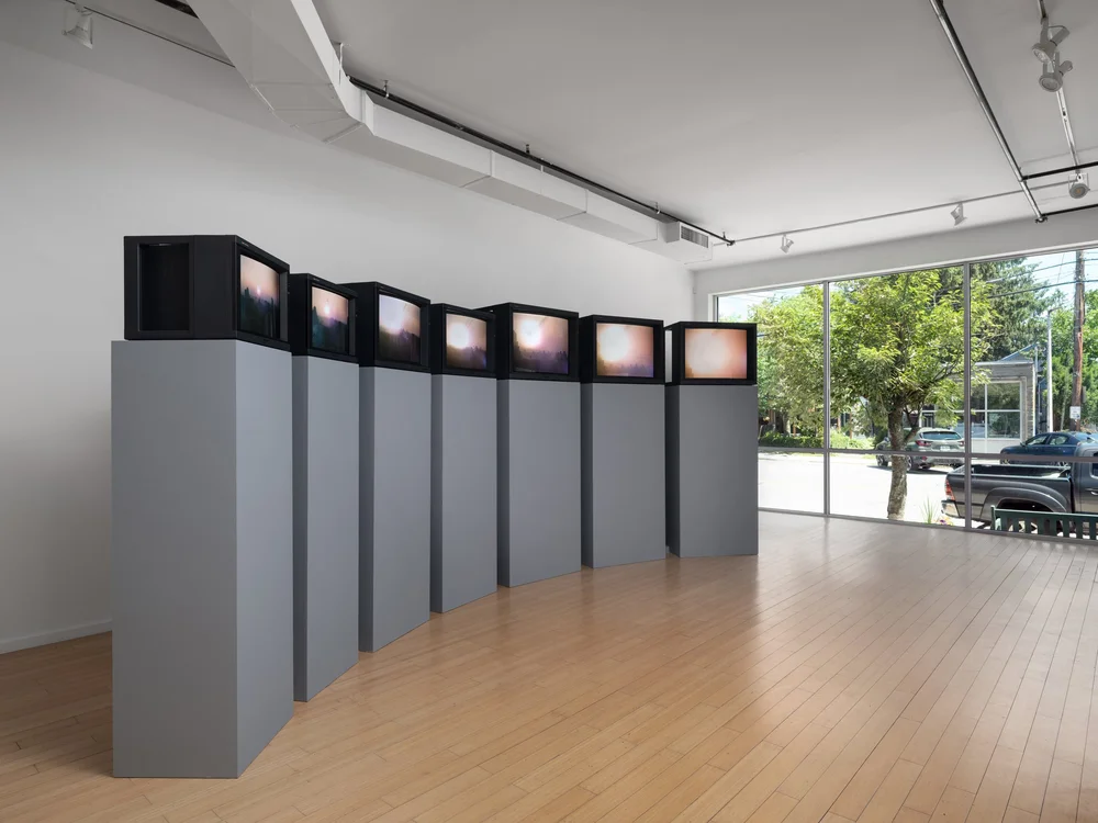 Mary Lucier, Video art and photography — Catskill Art Space