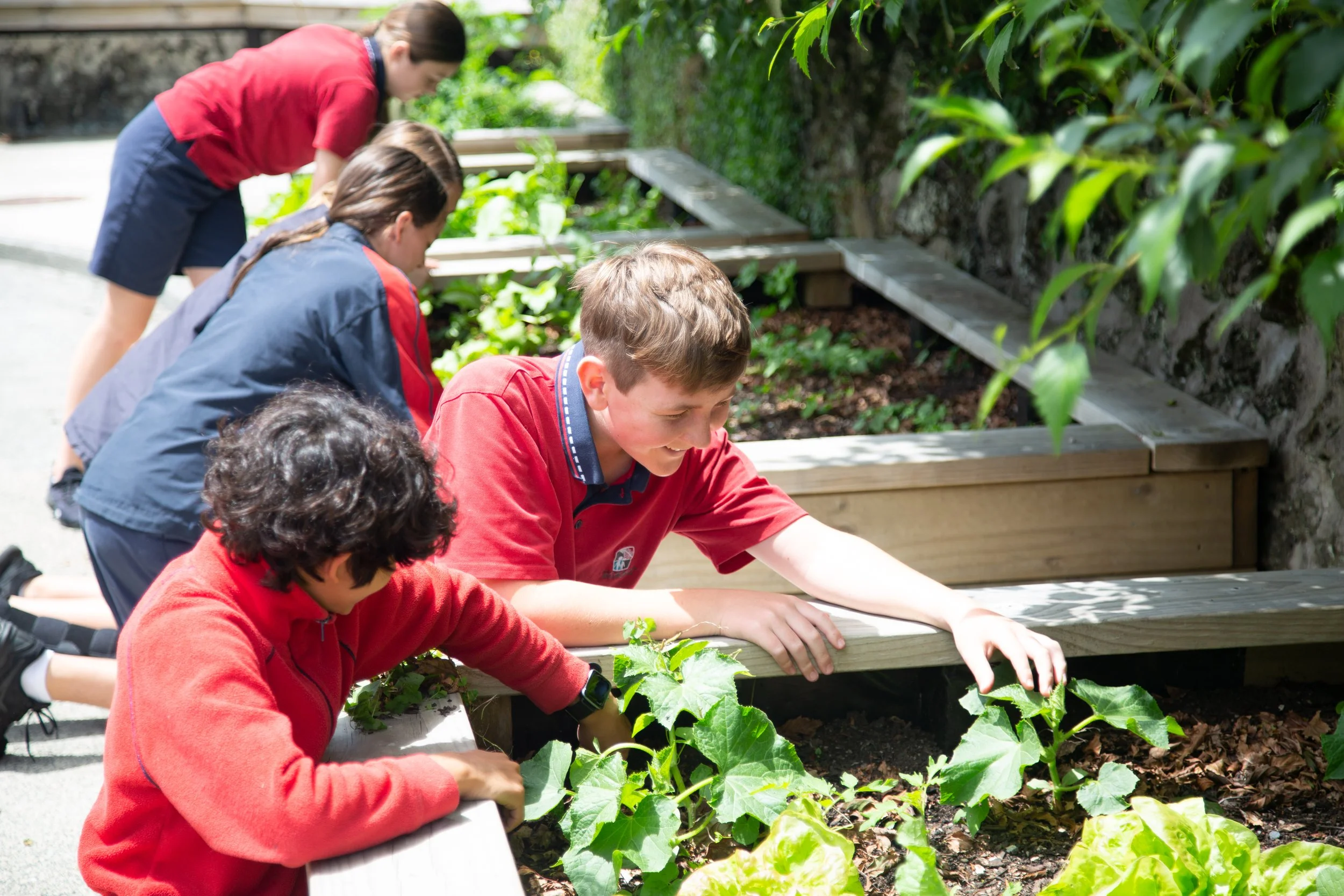 Sustainability — Balmoral School