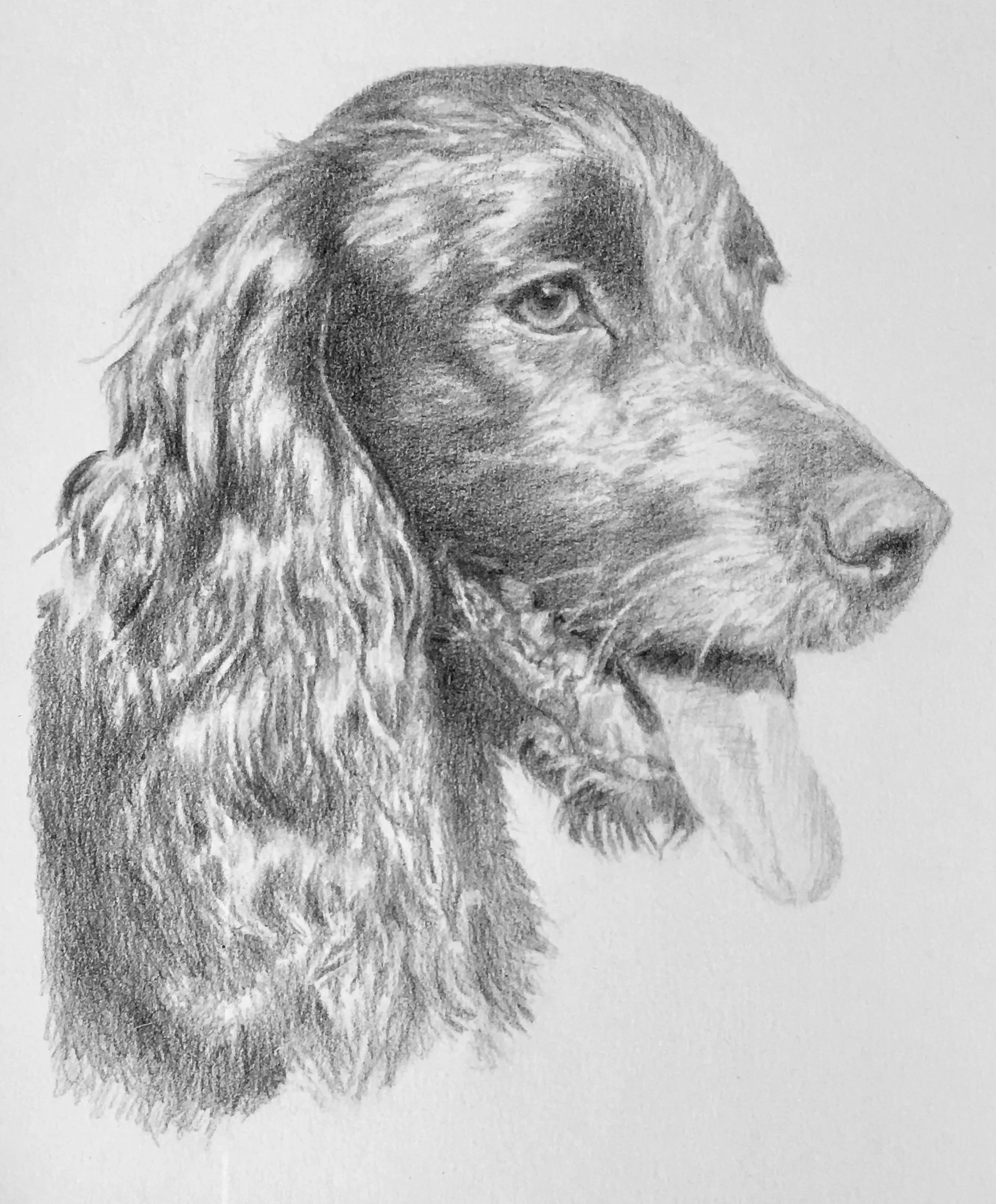 Tim Paul Dixon Portrait Artist