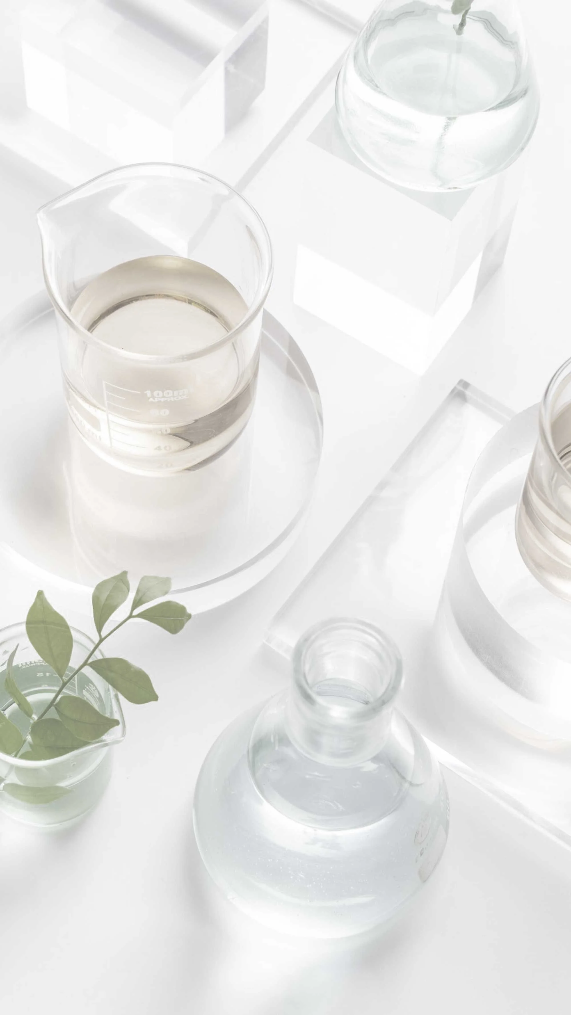 Contact — My Beauty Lab