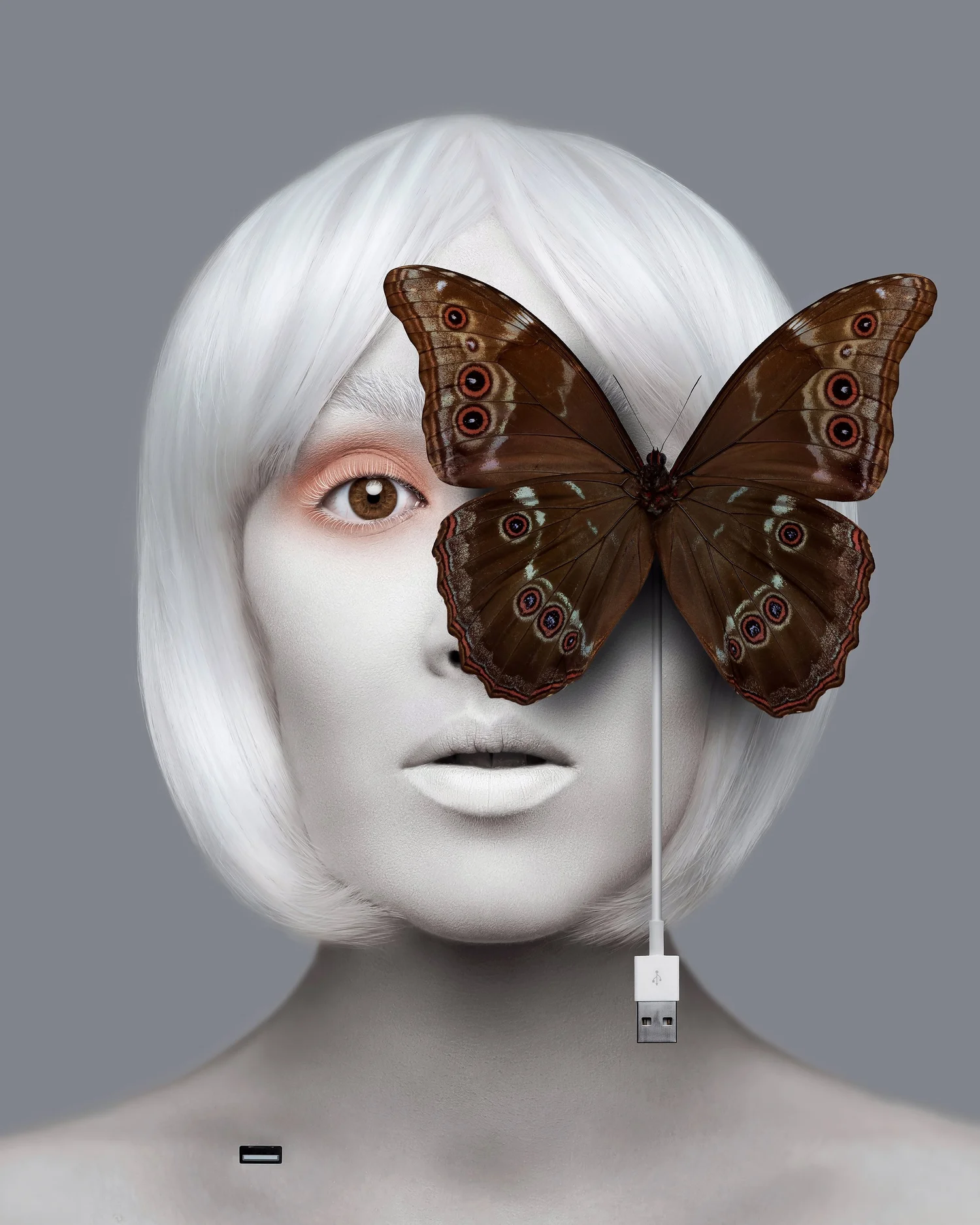 Artworks — Claire Luxton
