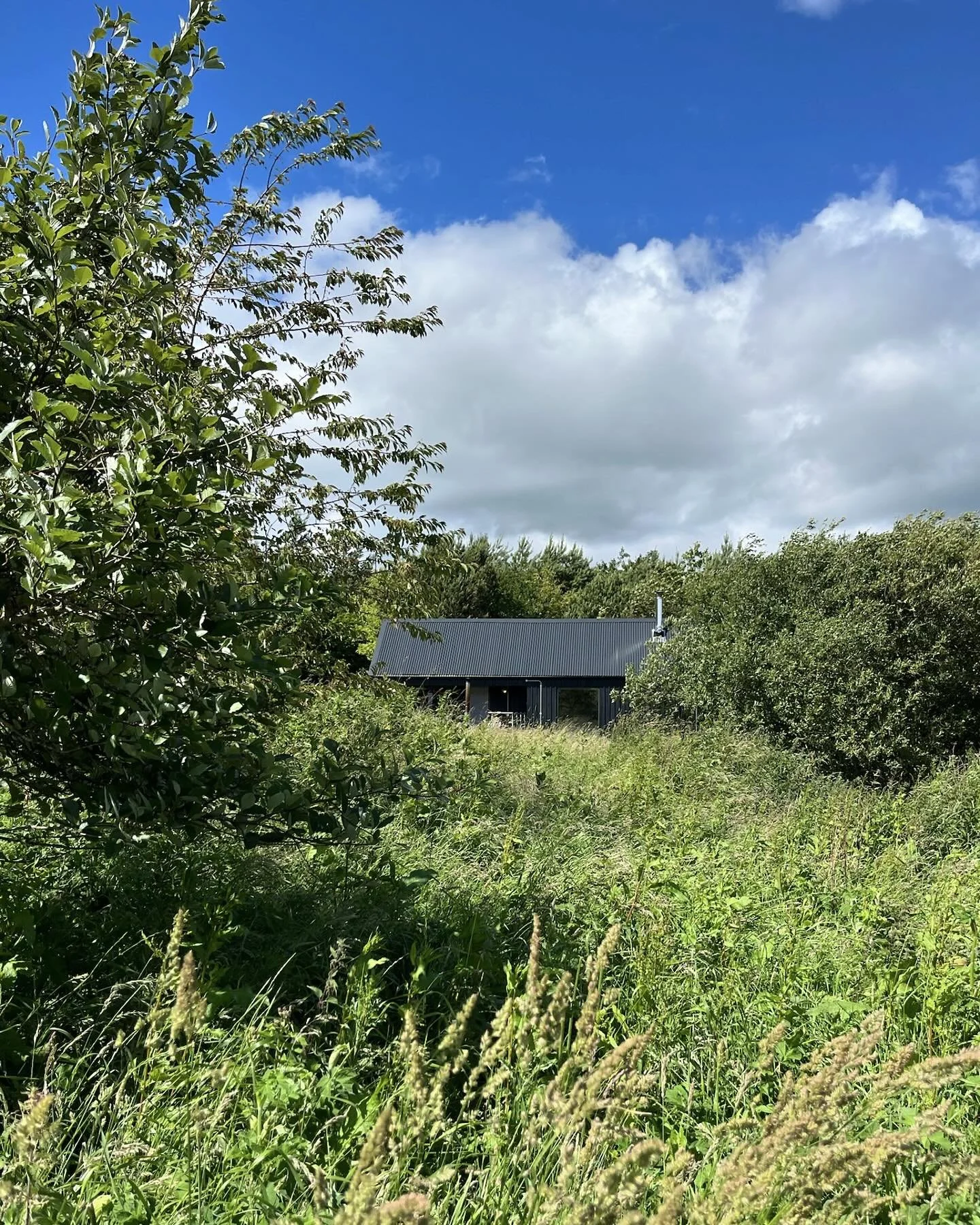 Outfield Farm Cabins | Self Catering Accommodation | Rural Wellness ...