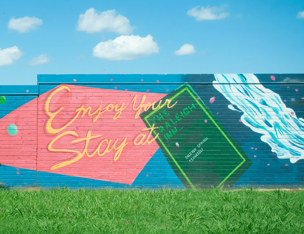 Literacy Zones — Literacy Mid-South