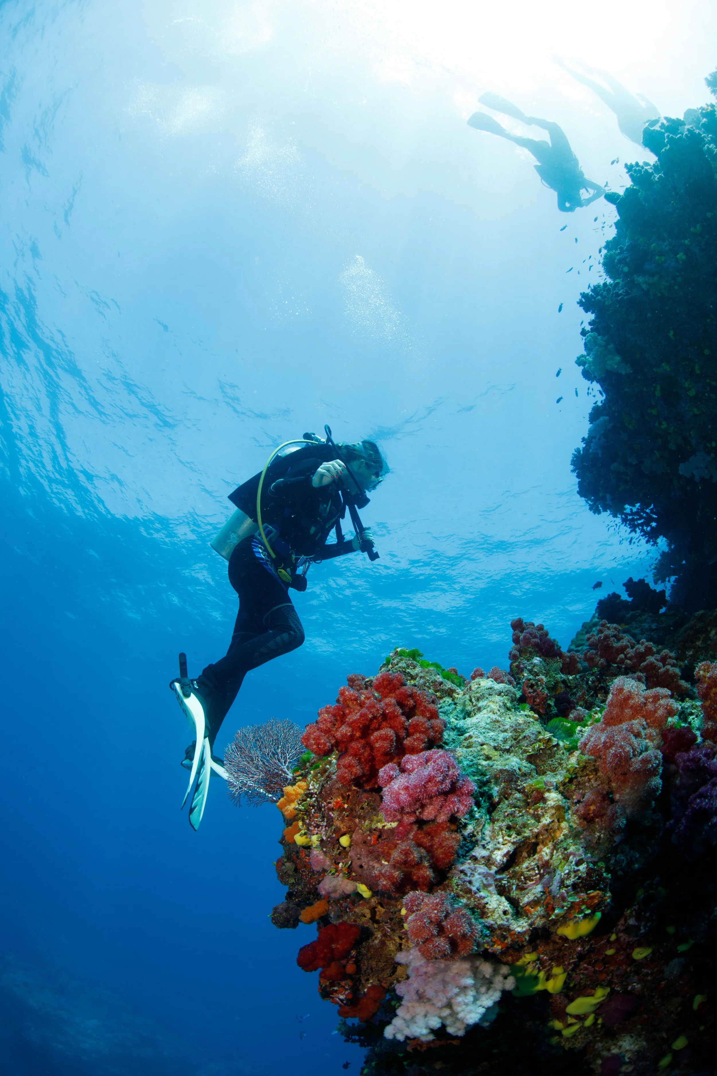 Fiji Luxury Dive Packages — Ultimate Fiji Vacations