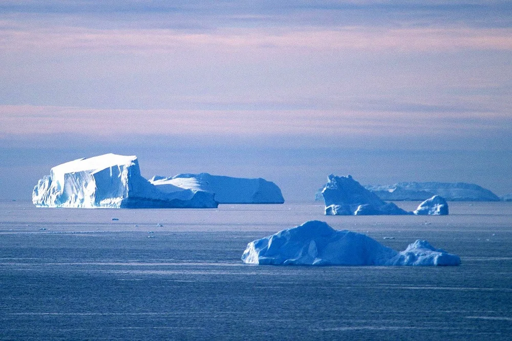 Weddel Sea — Project Zero
