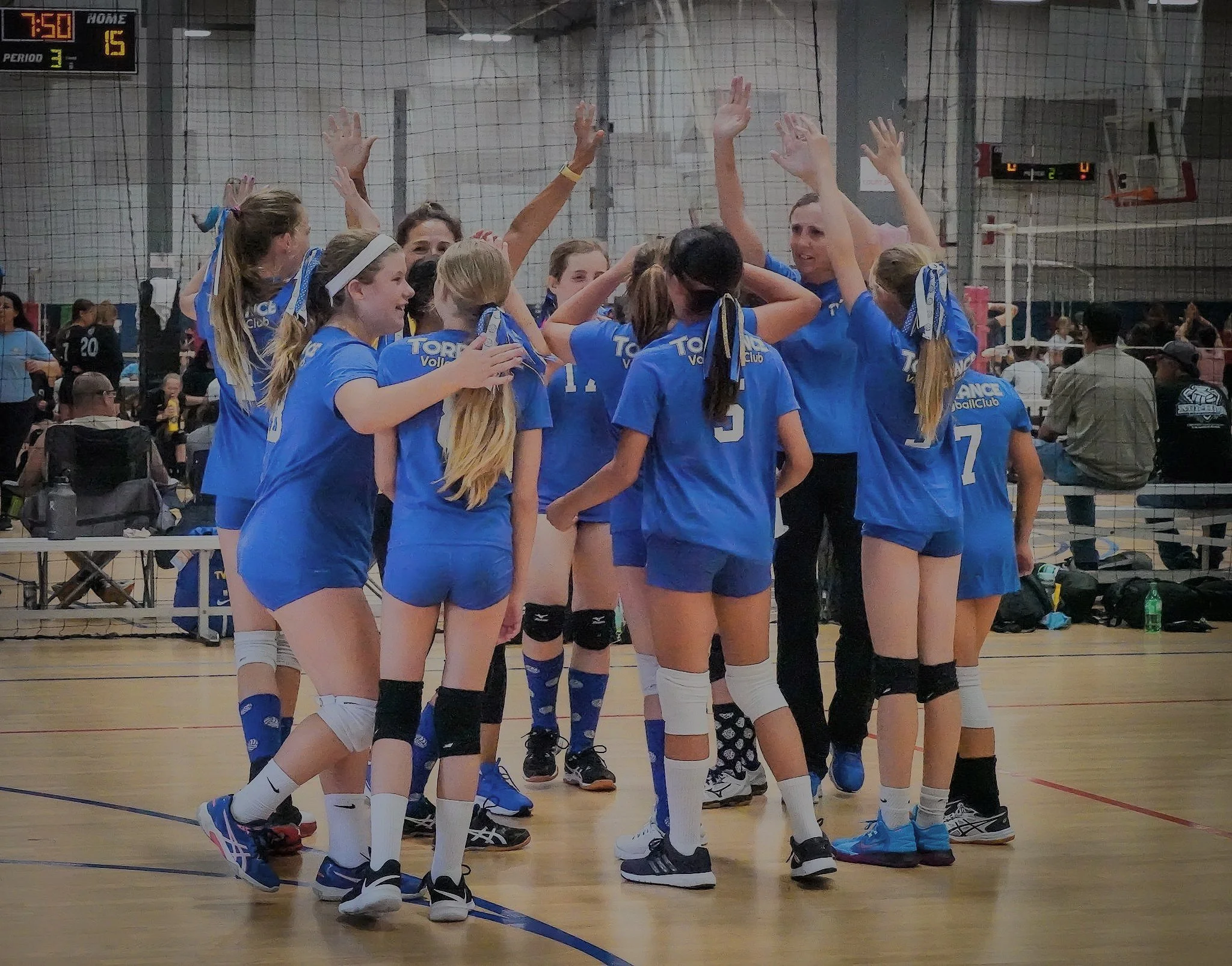 About — Torrance Volleyball Club